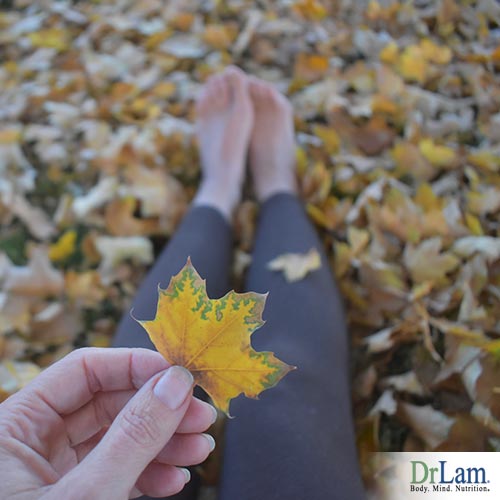 Six Effortless Grounding Techniques That You Can Begin Using Today!