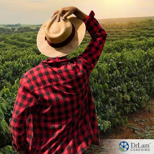 Discover How Physical Labor Can Eventually Trigger Adrenal Fatigue