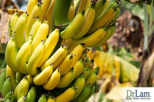 Fermented Bananas: A Delicious Snack Crammed with Health Benefits