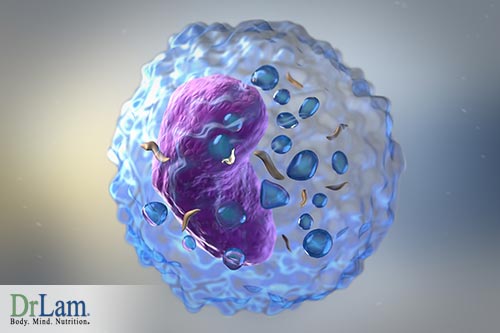 Mucilaginous Fiber Magic: Improve Gut Health by Consuming Simple Foods