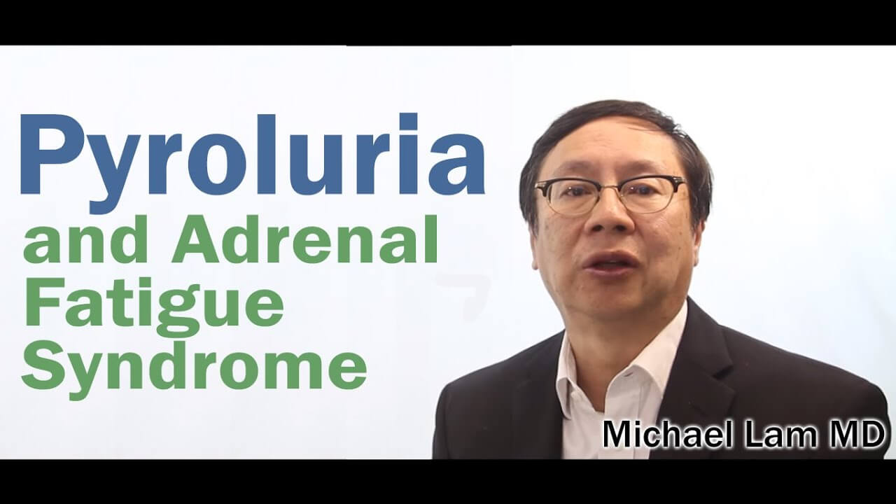 Pyroluria: Symptoms, Diagnosis, and Support | Lam Clinic