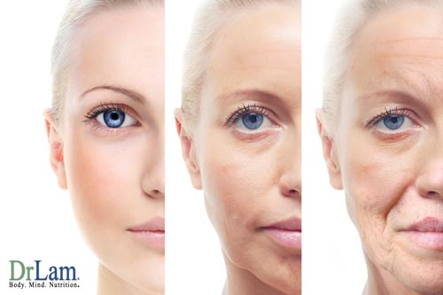 The Benefits From Probiotics May Change Your Life