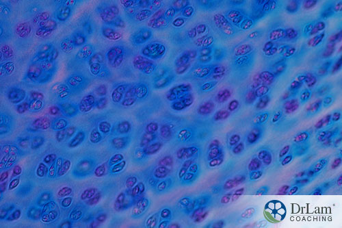 The COMT Mutation: How It Impacts Stress and Strategies for Coping