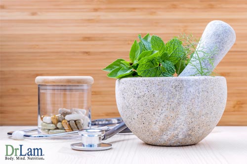 Explore Remarkable Holy Basil Cortisol Effects for Adrenal Health