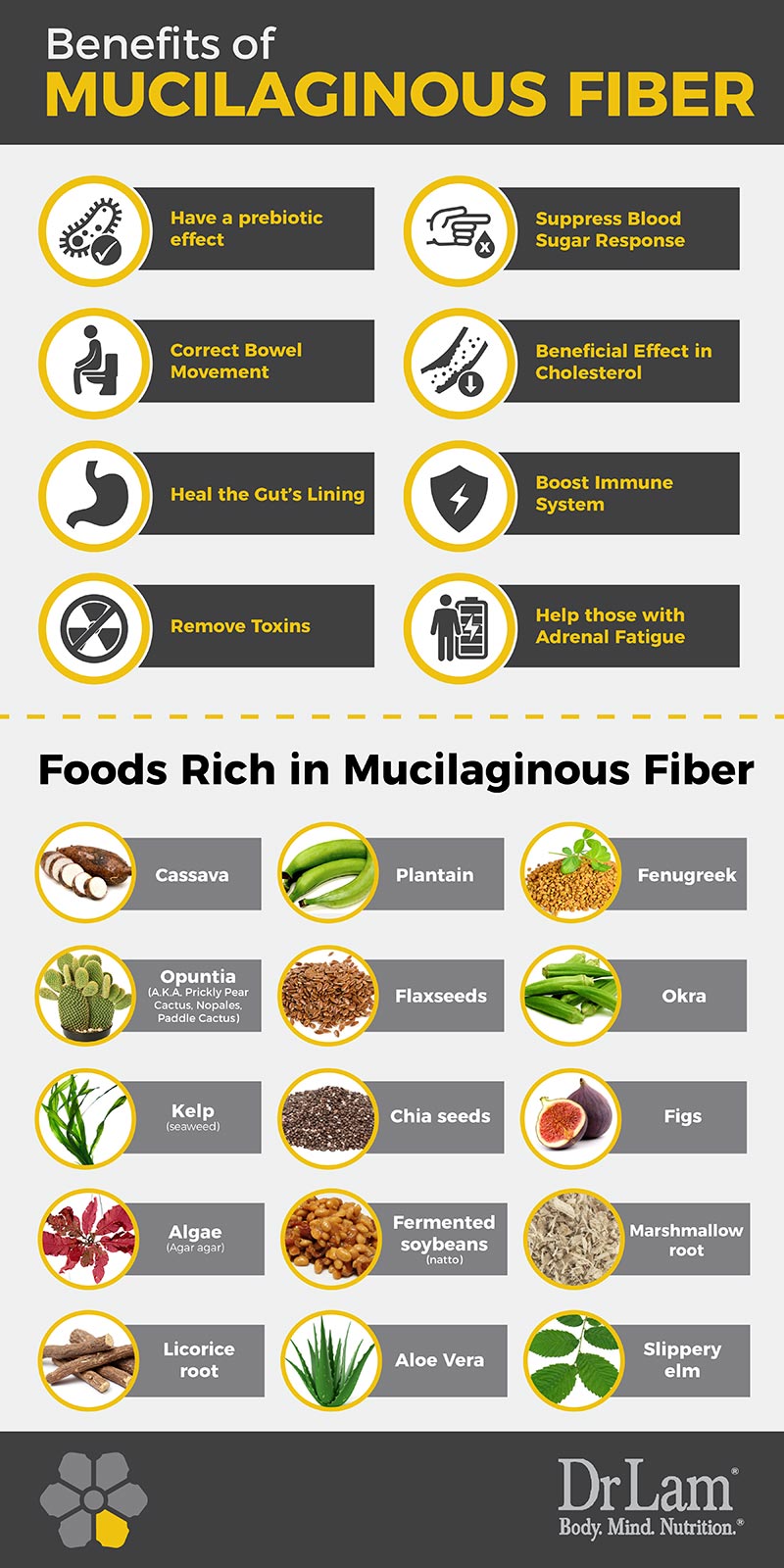 Mucilaginous Fiber Magic: Improve Gut Health by Consuming Simple Foods