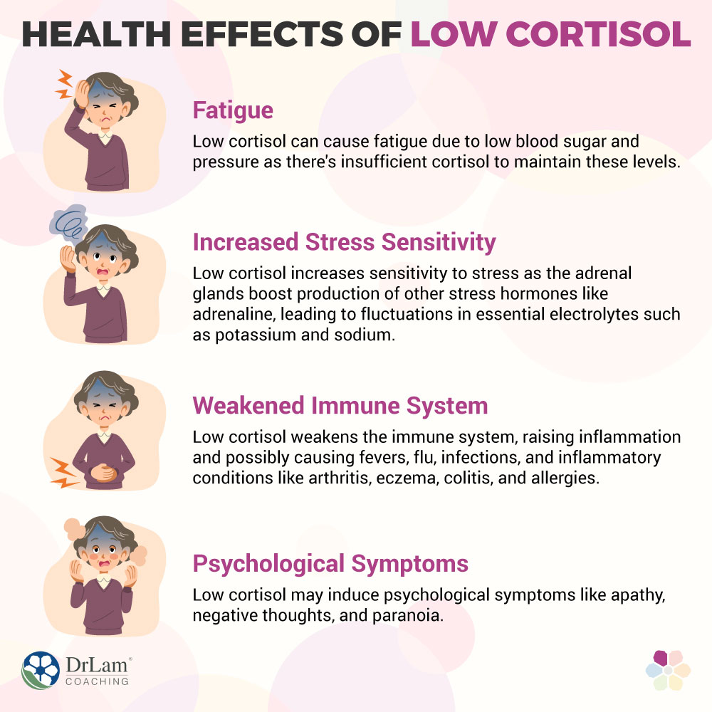 Research Shows Startling Link Between Cortisol And Longevity