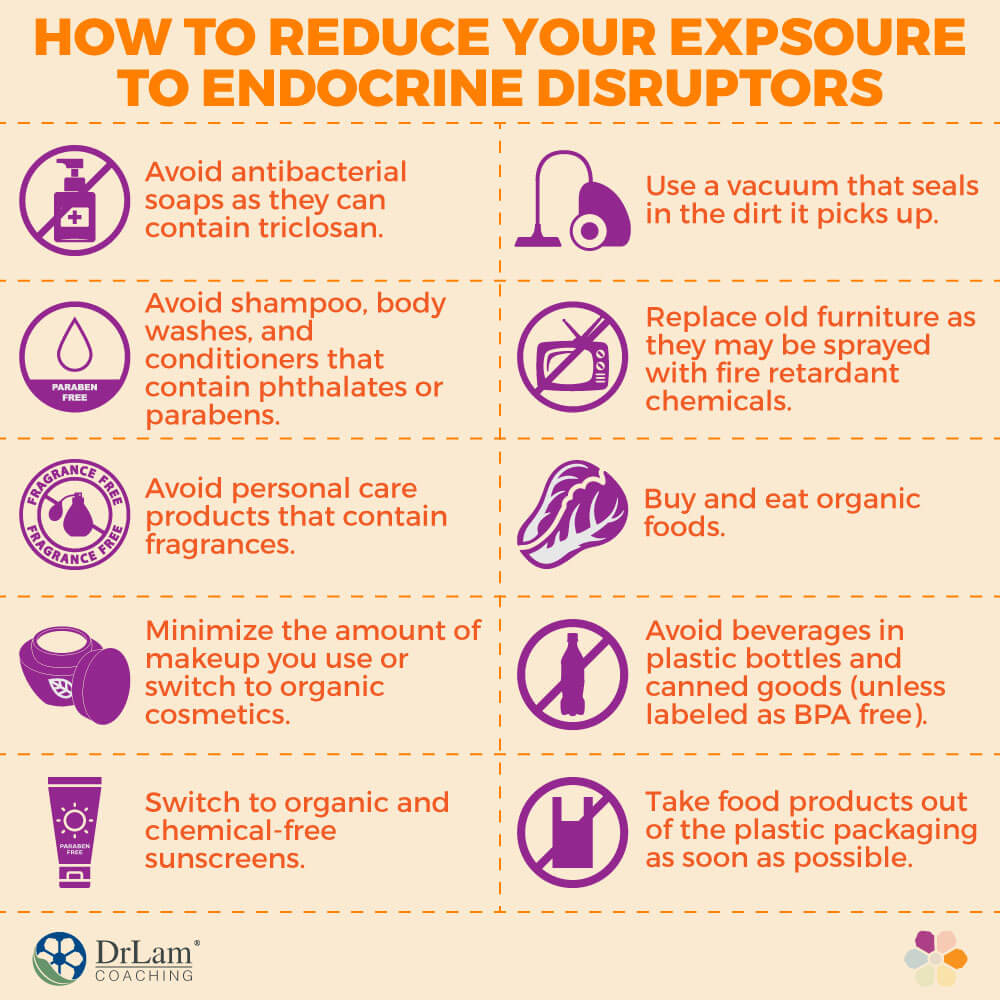 Endocrine Disruptors: The Hidden Poisons In Your Everyday Environment