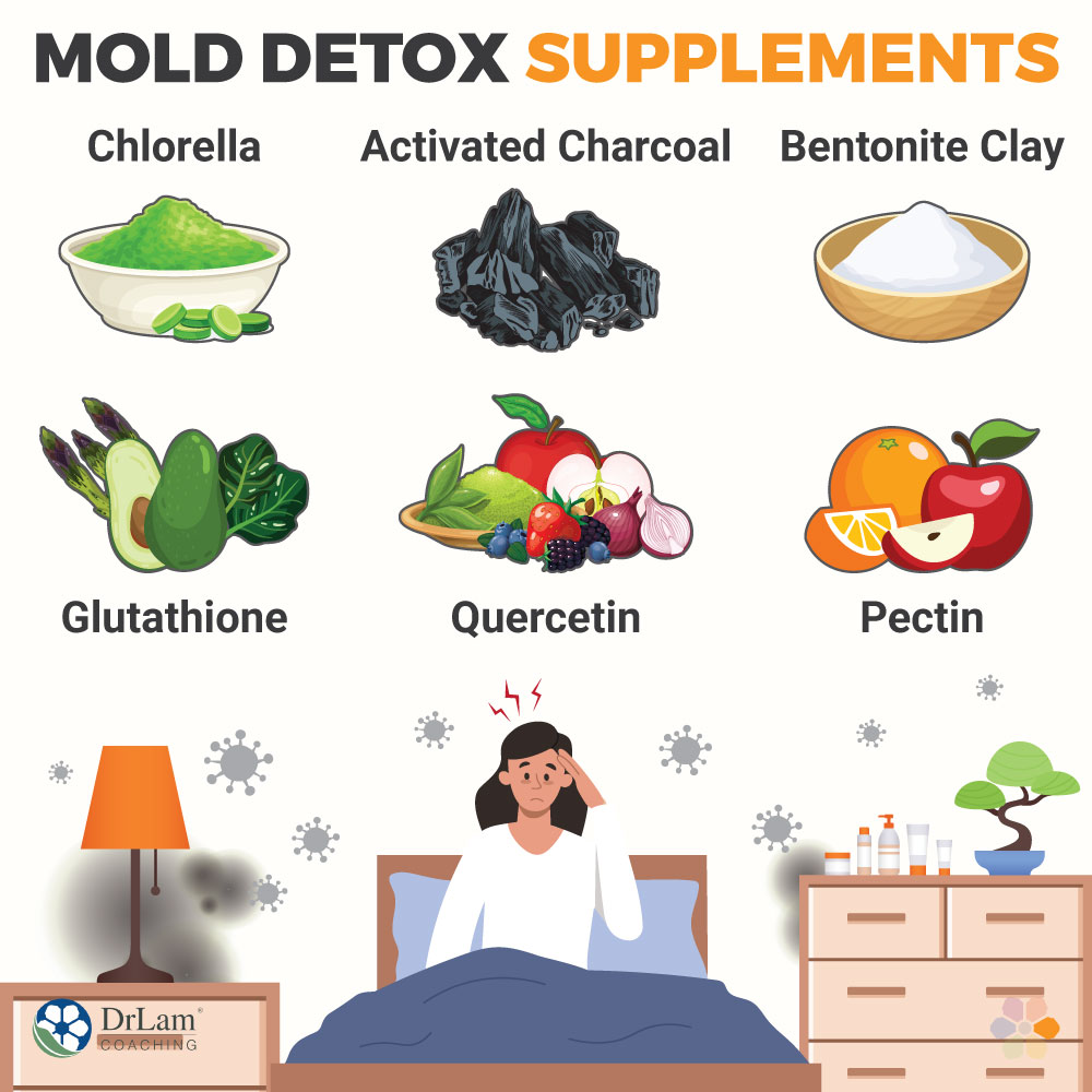 How to Do A Mold Detox for Your Body, If You Need One At All