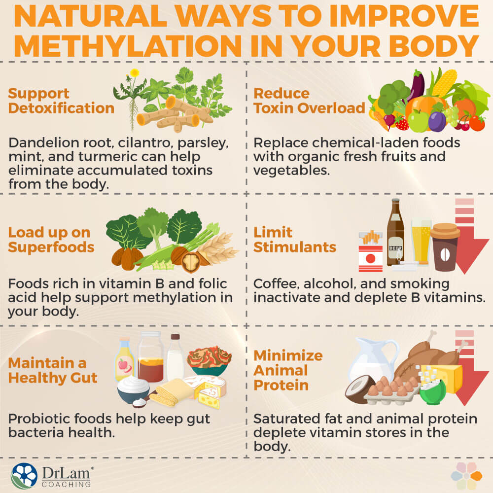 Methylation Disorder: When Vital Biochemical Processes Breakdown
