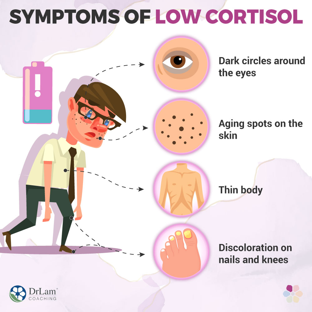Research Shows Startling Link Between Cortisol And Longevity