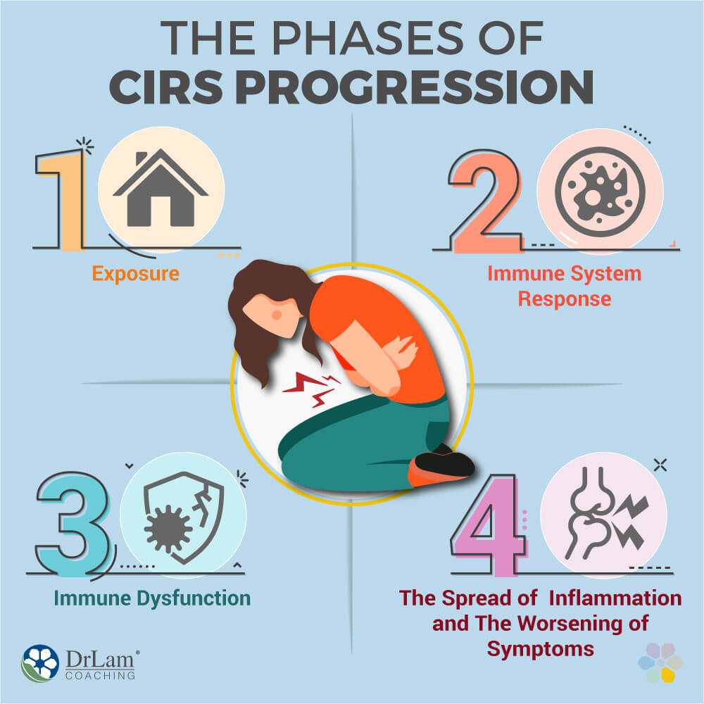 The CIRS Diagnosis and Recovery Process, Step-By-Step