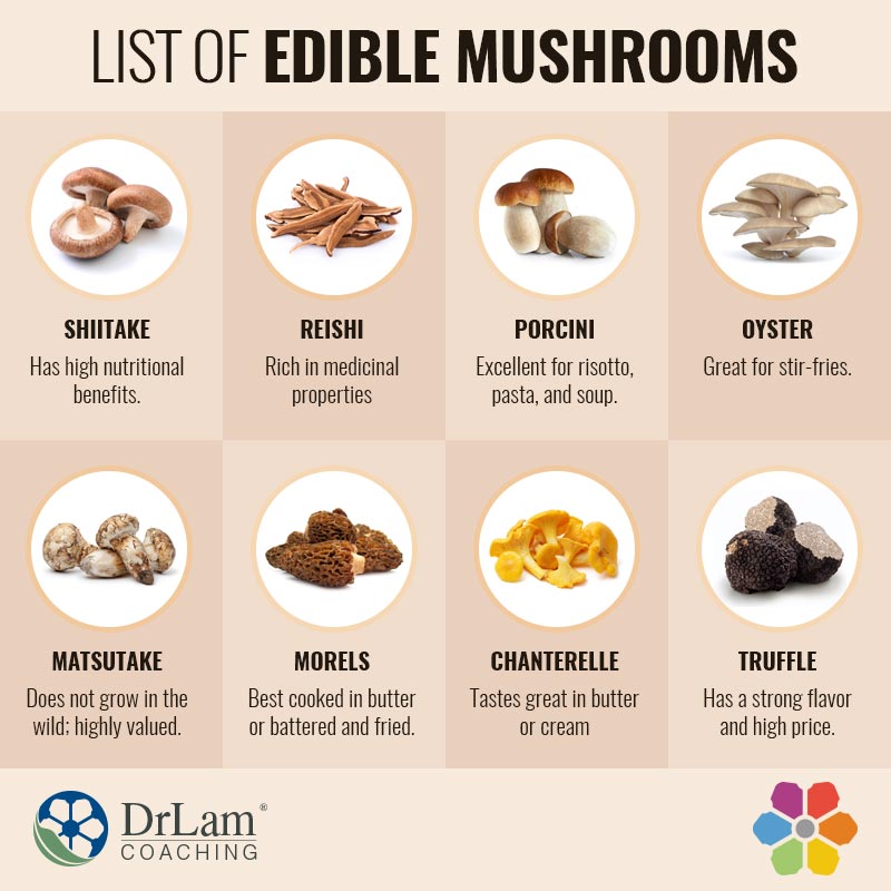 Supercharge Your Health with the Powerful Benefits of Eating Mushrooms