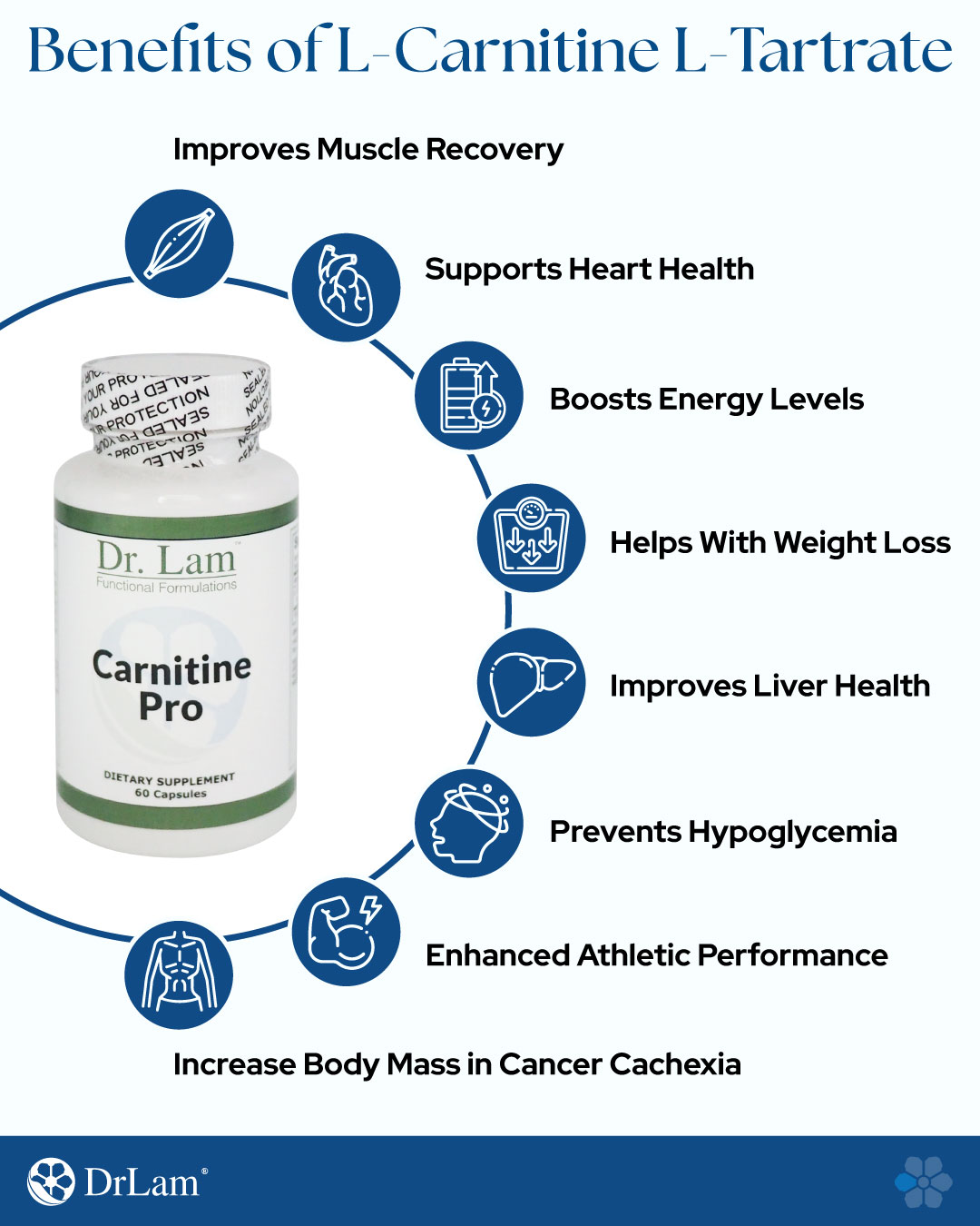 L-Carnitine L-Tartrate: 8 Key Benefits | Dr. Lam