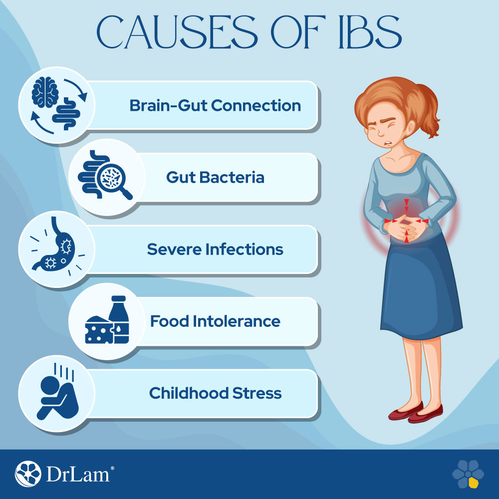The Causes of IBS That You Should Know | Dr. Lam