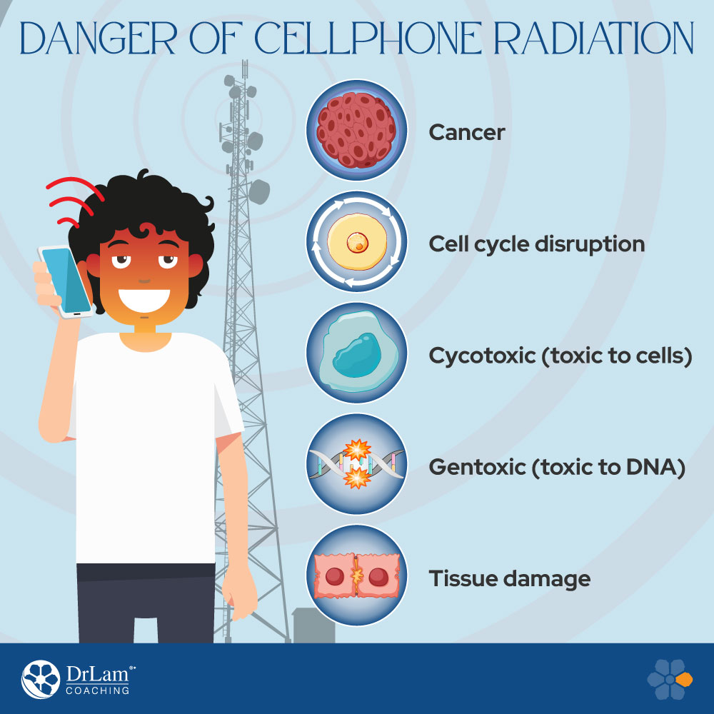The Hidden Dangers of Cell Phone Radiation | Dr. Lam