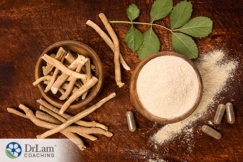 Supplements For Epstein-Barr Virus That Promote Immune Function