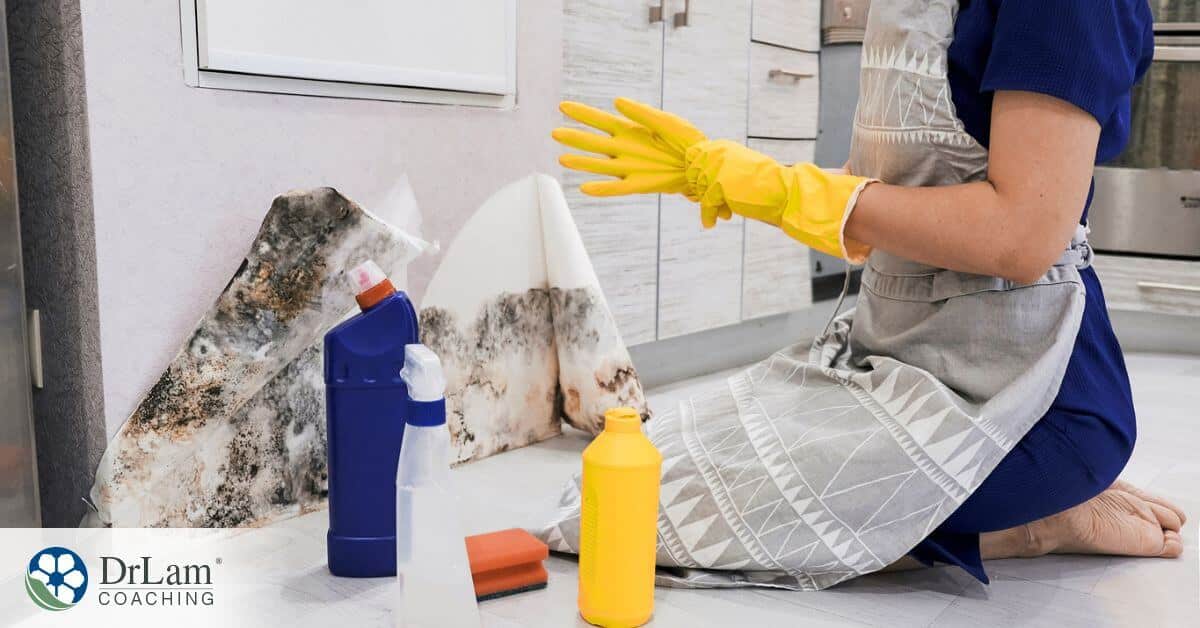 How to Do A Mold Detox for Your Body, If You Need One At All